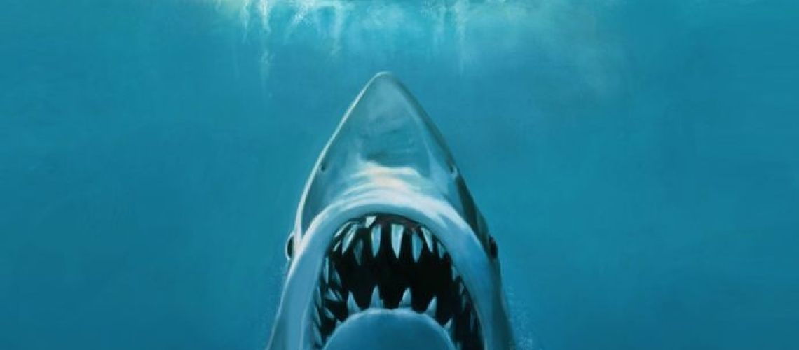 VIDEO: Na ogled legendarni morski pes iz filma Žrelo - Njena.si