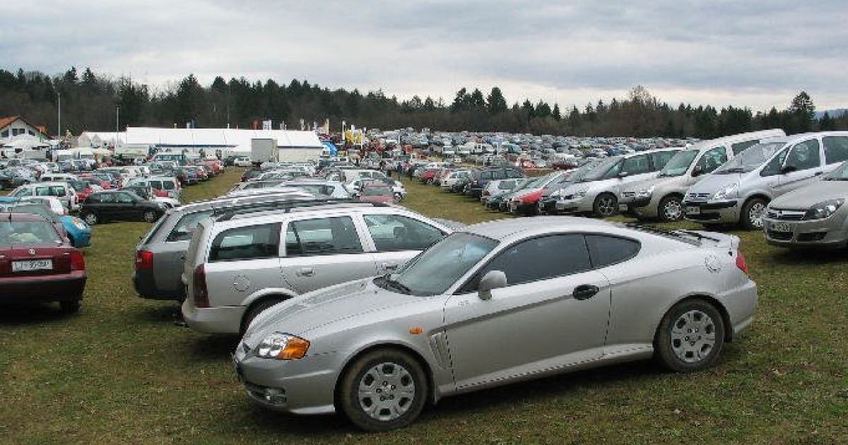 Travniki pločevine in množica obiskovalcev - Svet24.si
