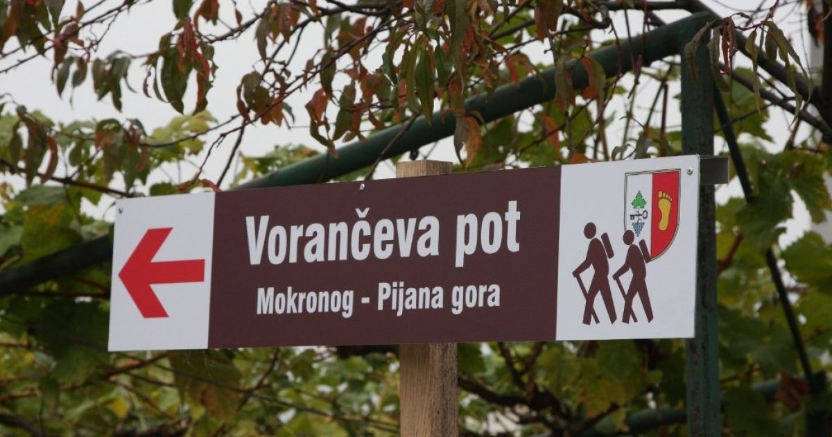 Petnajstič po Vorančevi poti - Svet24.si