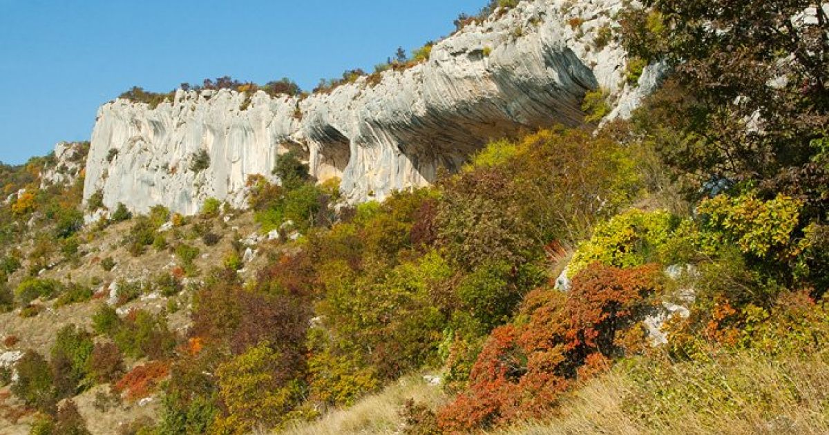 FOTO: Ko zažari ruj nad ''ušesi Istre'' - Svet24.si