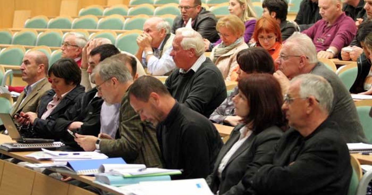 Tretja os: Štiripasovnica tudi na zahodu - Dolenjski list