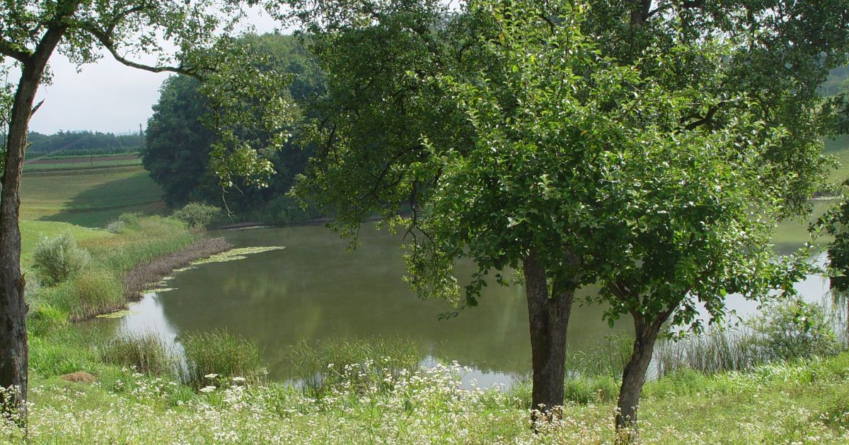 Voda: lepota narave, dobrina sveta - Svet24.si