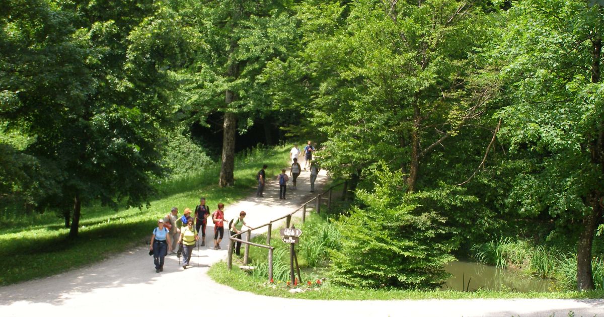 Tradicionalni pohod po Kozjanskem parku - Svet24.si