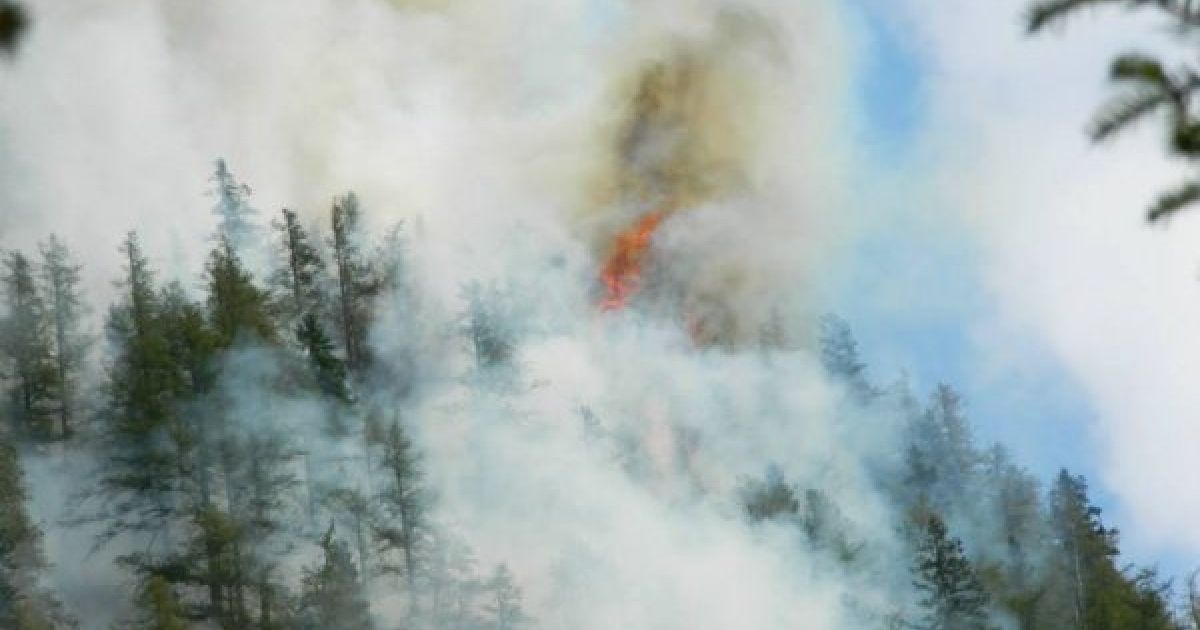 Požar na območju Velikega Rogatca še vedno ni pogašen - Svet24.si