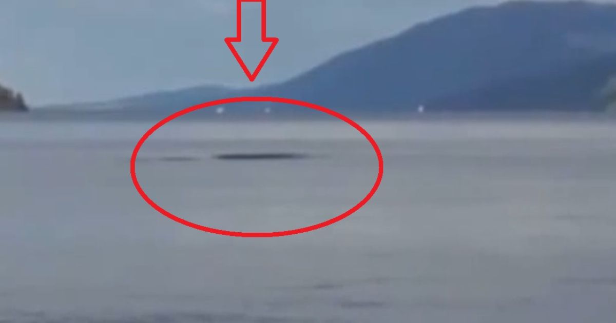 Posneli Nessija iz Loch Nessa - Svet24.si