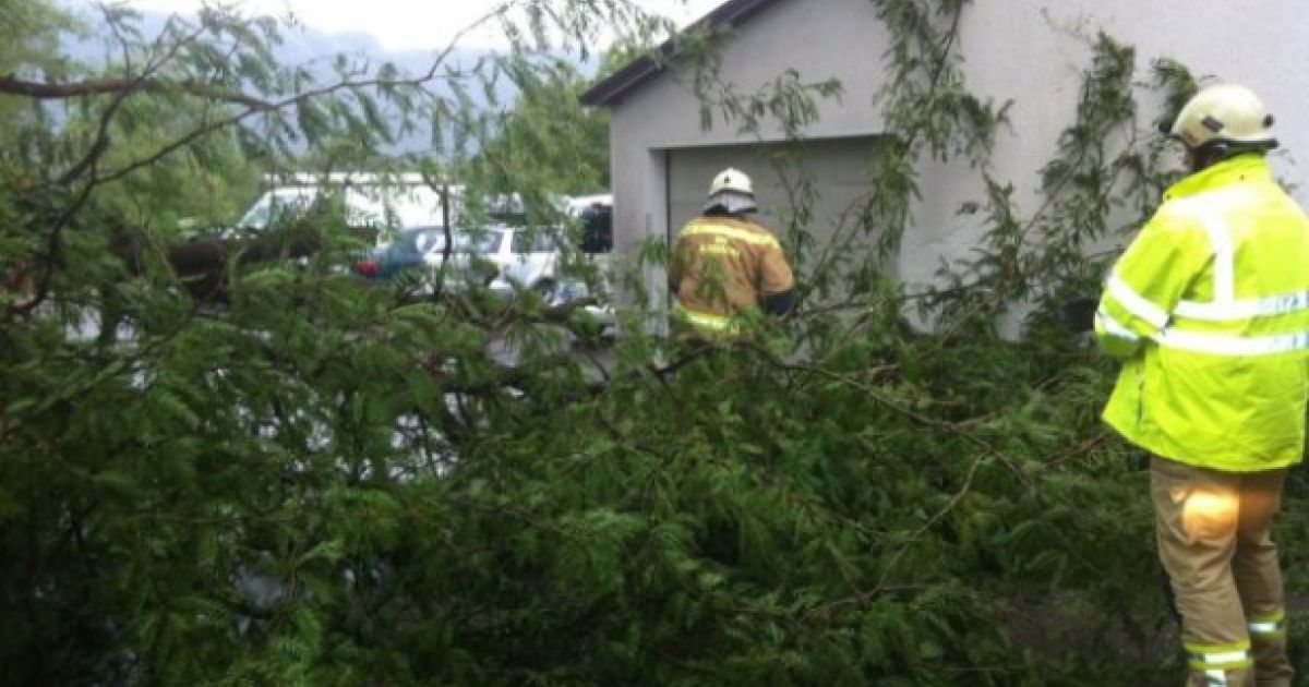 Močan veter podira drevesa in odkriva strehe - Svet24.si