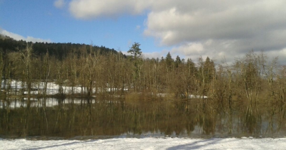 Vodostaj Planinskega polja višji kot v rekordnih poplavah leta 2000 ...