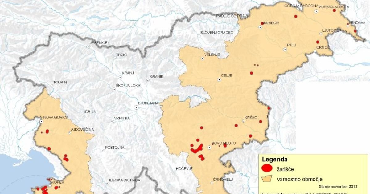 Opozorilo vinogradnikom zaradi zlate trsne rumenice - Svet24.si