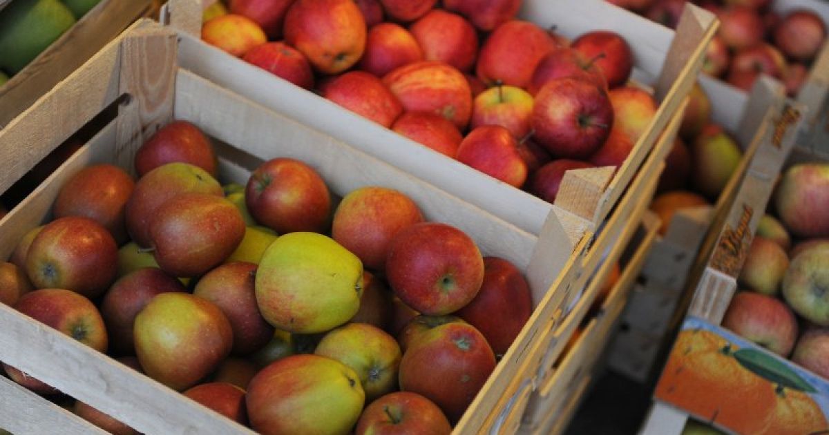 Srbija Rusiji preprodaja Poljsko sadje? - Svet24.si