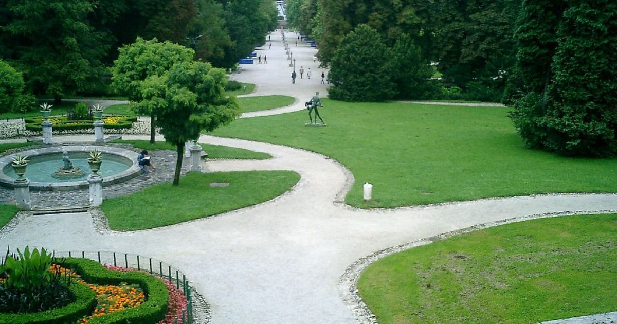 Lubadar množično napadel smreke v ljubljanskem Tivoliju - Svet24.si