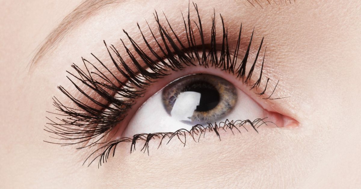 Zvijače, ki jih morda ne poznate - Svet24.si