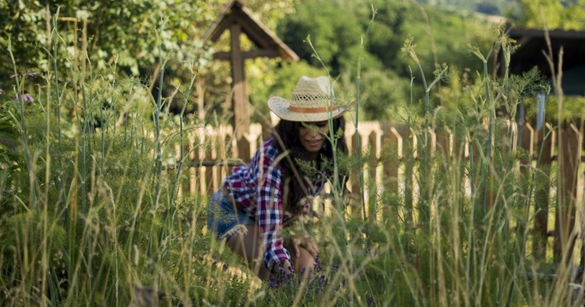 Nataša Naneva v šovu Kmetija? - Svet24.si