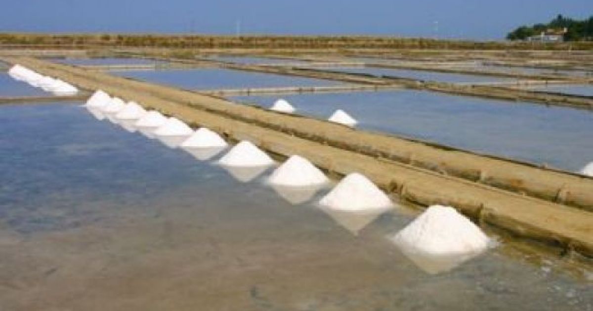 Sol je vir življenja - Svet24.si