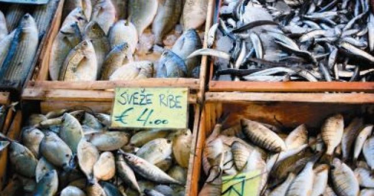 Živo srebro v ribah? - Svet24.si