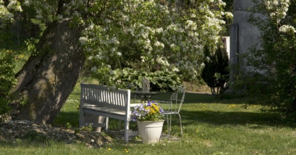 Osmošolki odvlekel v grmovje in ju zvezal - Svet24.si