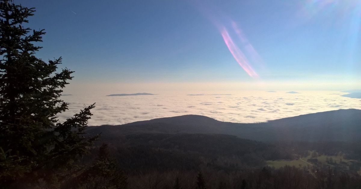 Vaše fotke: Ko je v dolini megla, je na Mirni gori sonce - Svet24.si