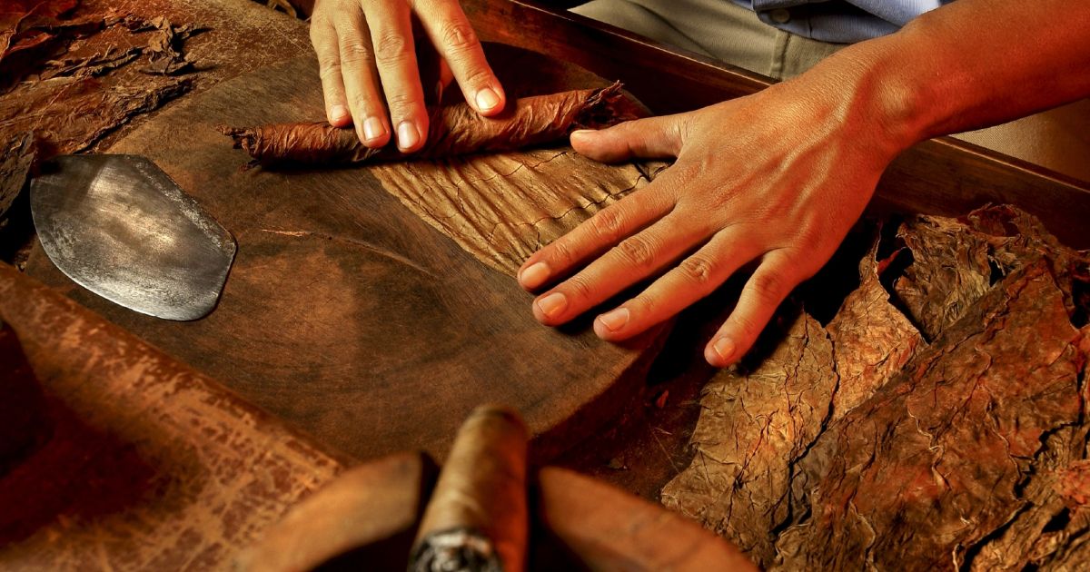 Kubanke s stilom! - Svet24.si