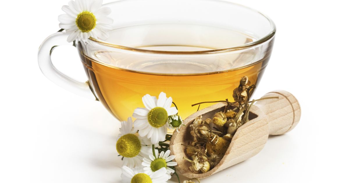 Zdravila iz narave - Svet24.si