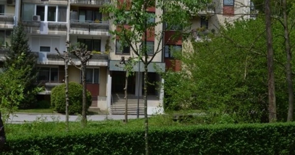 Posadili tri japonske sofore - Kum24