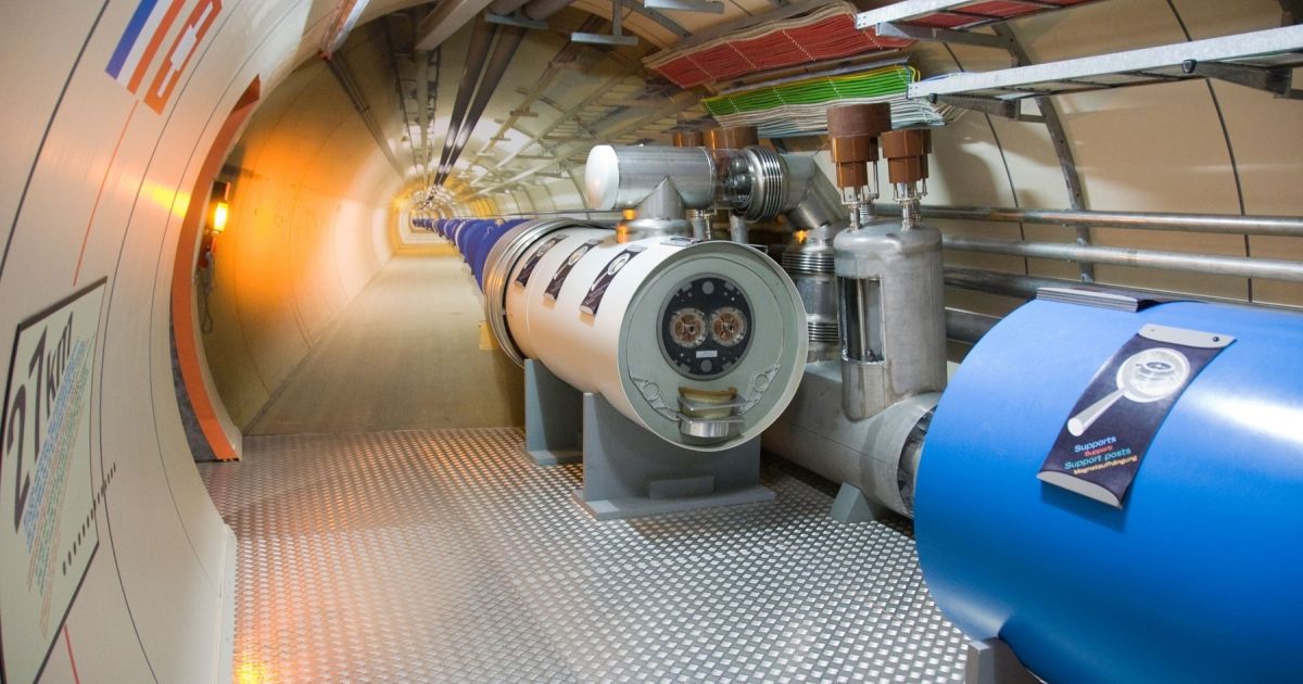 Podlasica ustavila Veliki hadronski trkalnik - Svet24.si