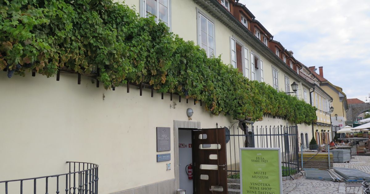 Po Mariboru v družbi lokalnega vodnika - Svet24.si