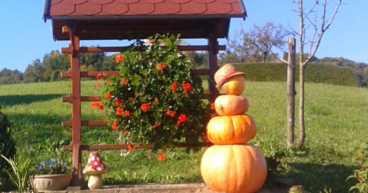 Vaša fotka: Manj je več - mini bučariada - Svet24.si