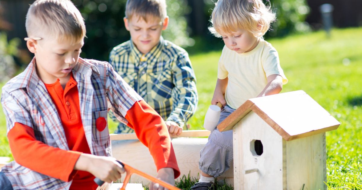 Naredimo ptičjo hišico - Svet24.si