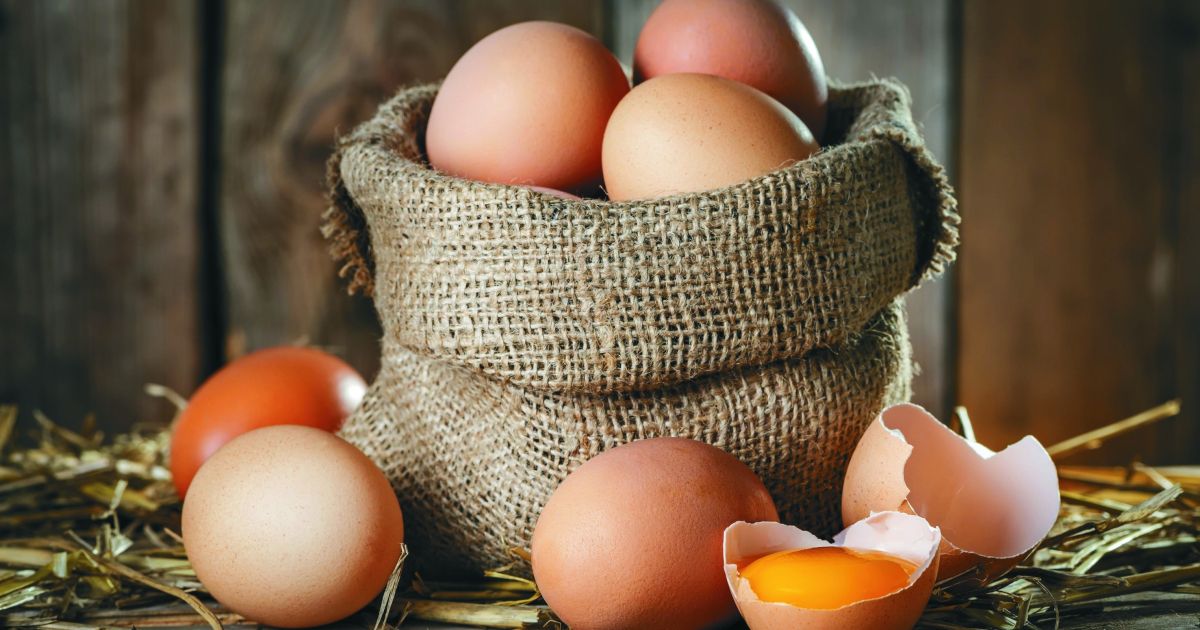 Ni vseeno, katera jajca kupite - Svet24.si