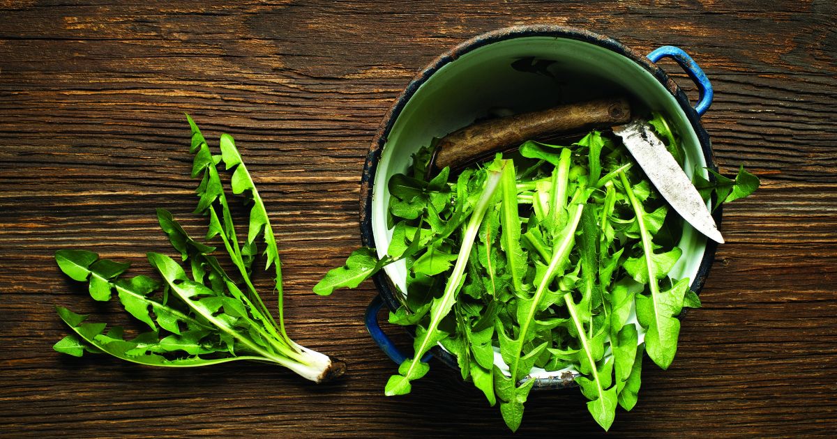 Kuhani regrat - Svet24.si