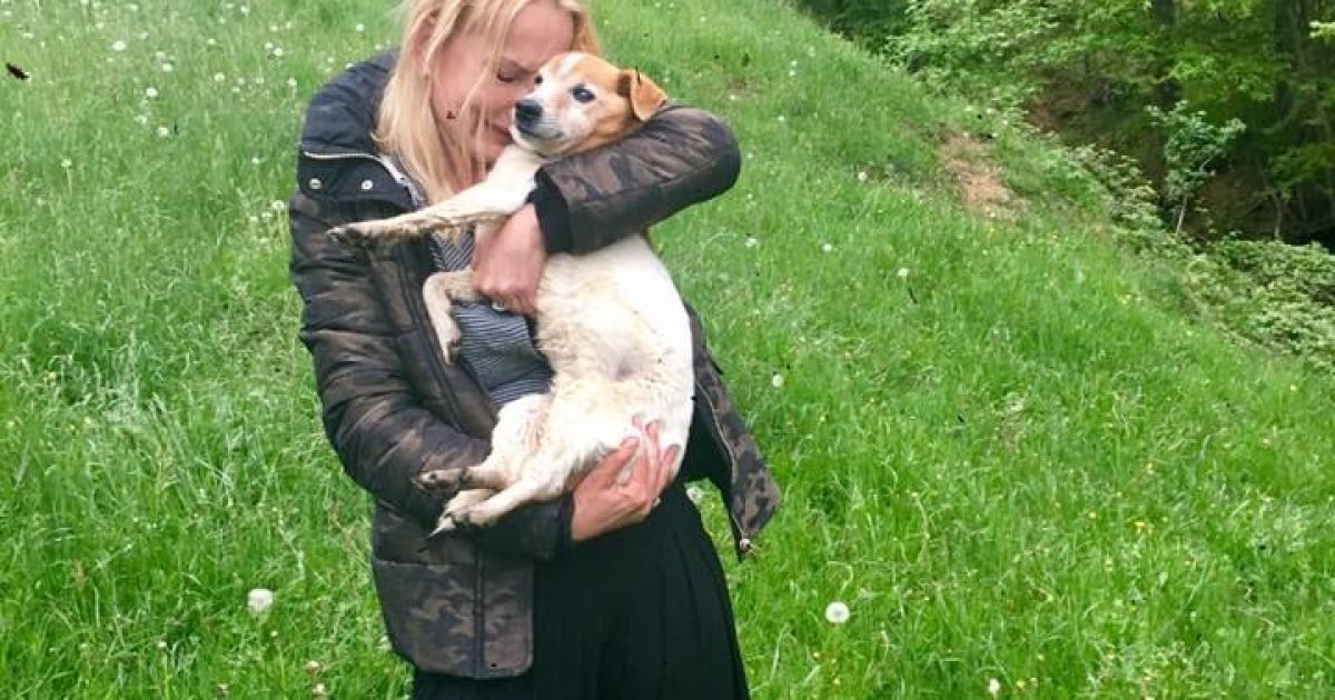 Iskala je pobeglega psa Mikija - Svet24.si