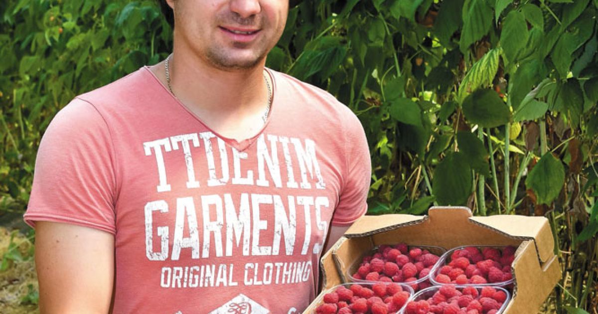 Nepogrešljive v poletnih dietah - Svet24.si