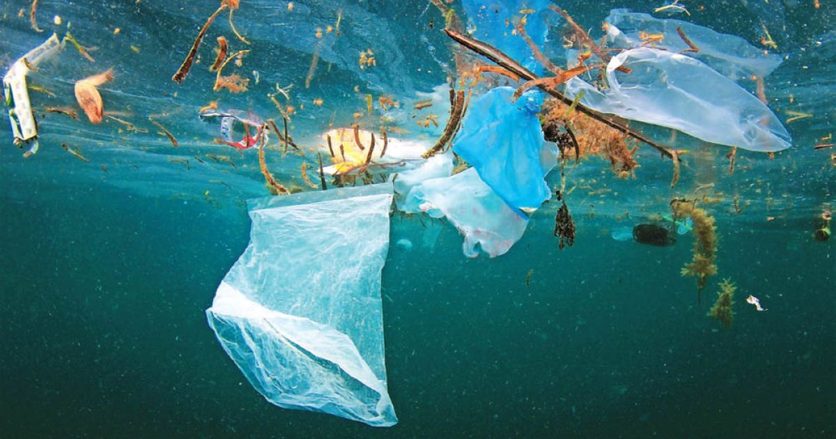 Izgubljeni v plastiki - Svet24.si