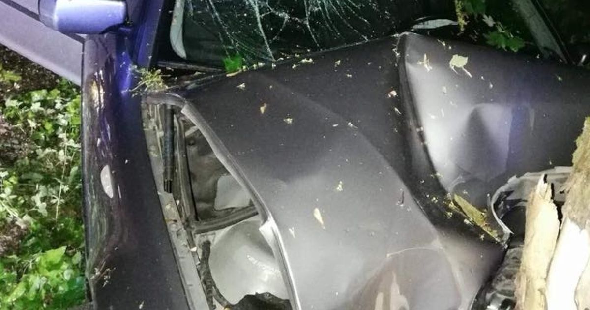 FOTO: Mladeniči čelno v drevo; 15-letnik na urgenci - Svet24.si