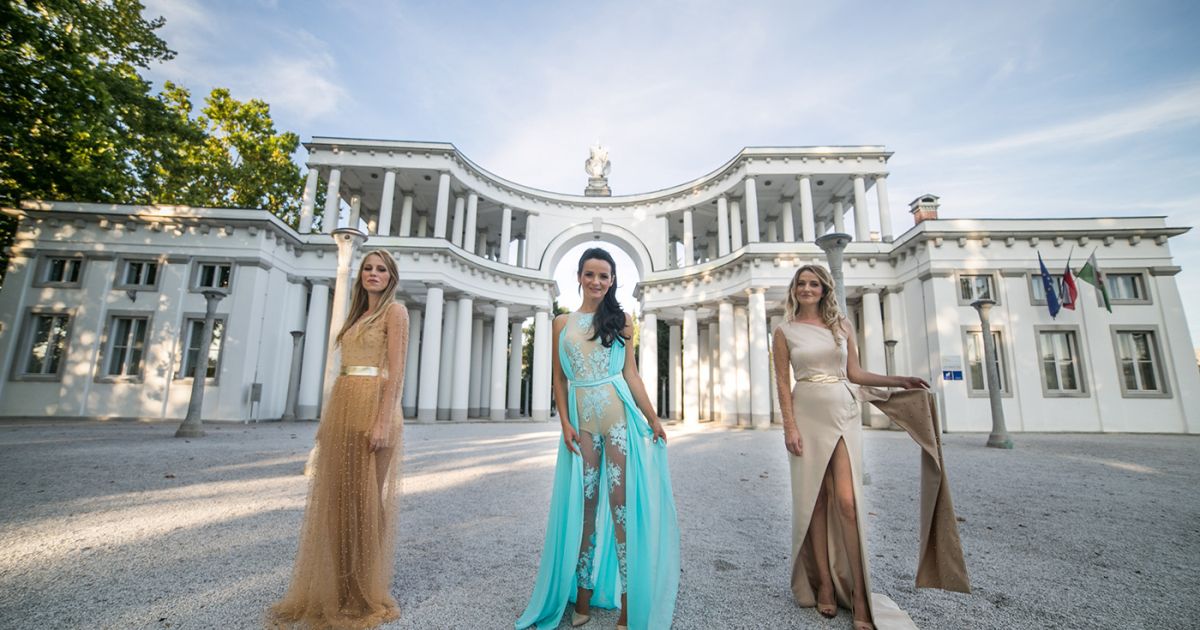 Vse oči uprte v najbolj znane mačke v državi - Svet24.si