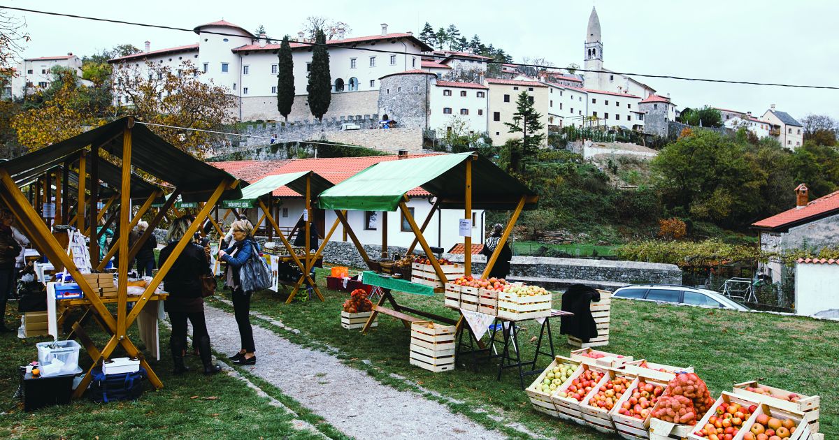 Tudi Maks Fabiani bi bil ponosen - Svet24.si
