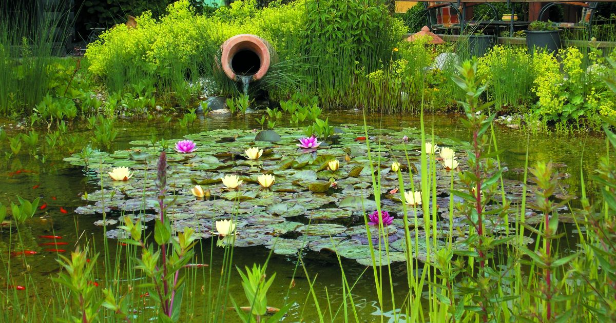 Naredite sami mlako ali ribnik! - Svet24.si