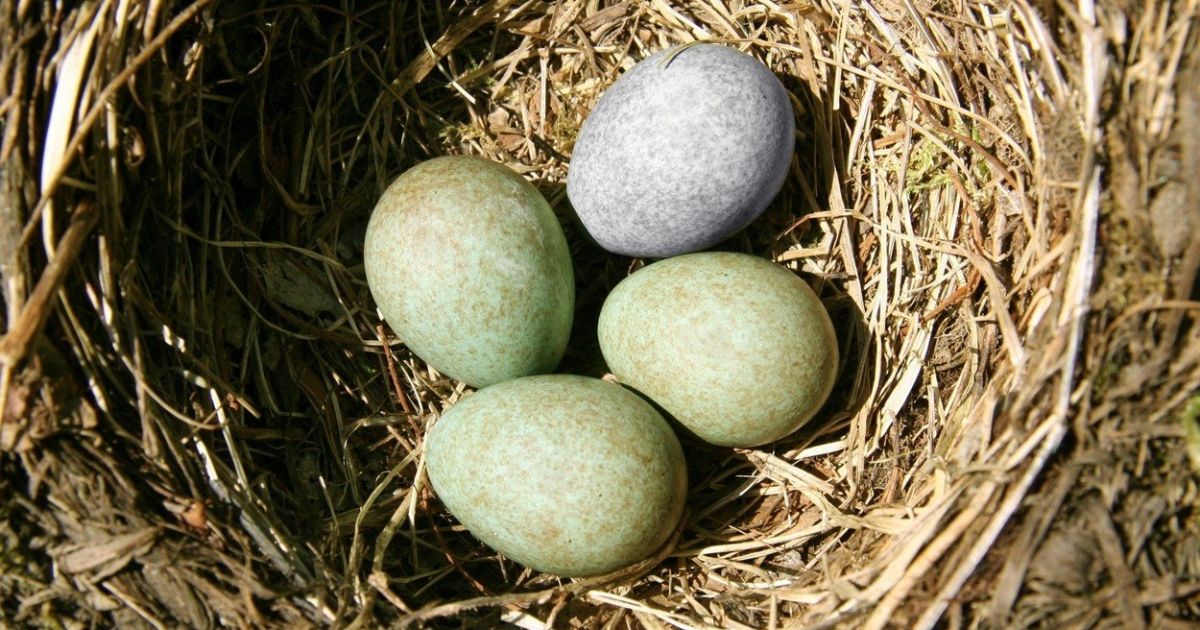 Po 30 letih izvedel, da je plačeval preživnino za otroka, ki ni njegov - Novice Svet24