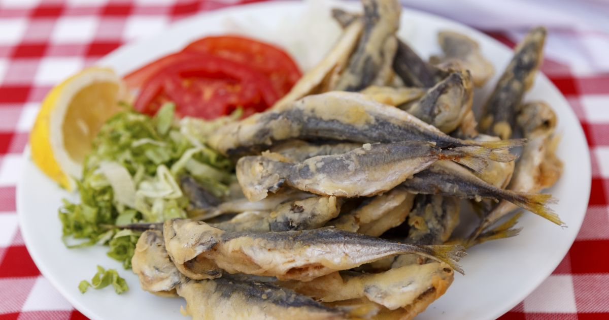 Sardele za predjed - Svet24.si