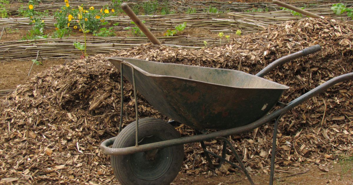 Pomladna obnova okrasnih gredic - Vestnik.si