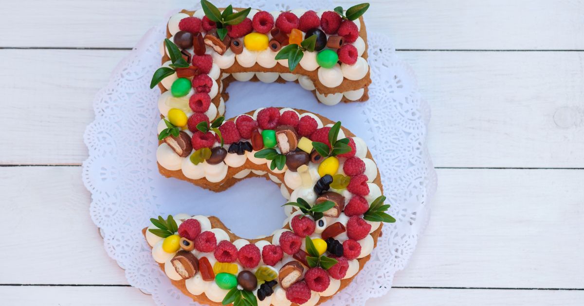 Torta za pet - Svet24.si