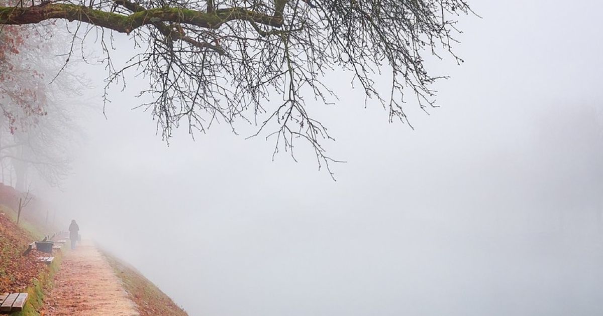 Zimski meseci v mestih: na delce se vežejo tudi strupene snovi - Svet24.si