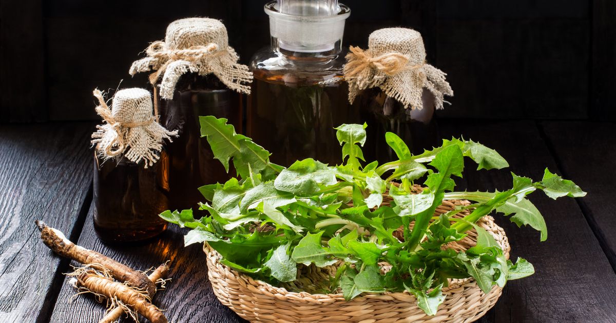 Regrat je veliko več kot le solata - Svet24.si