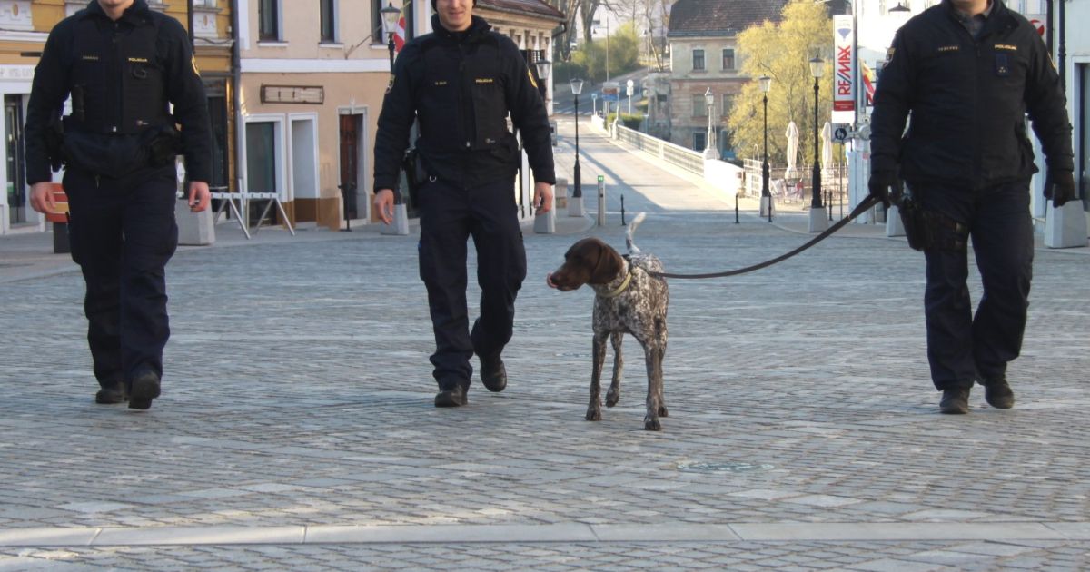 Težave z voznikom berlinga - Svet24.si