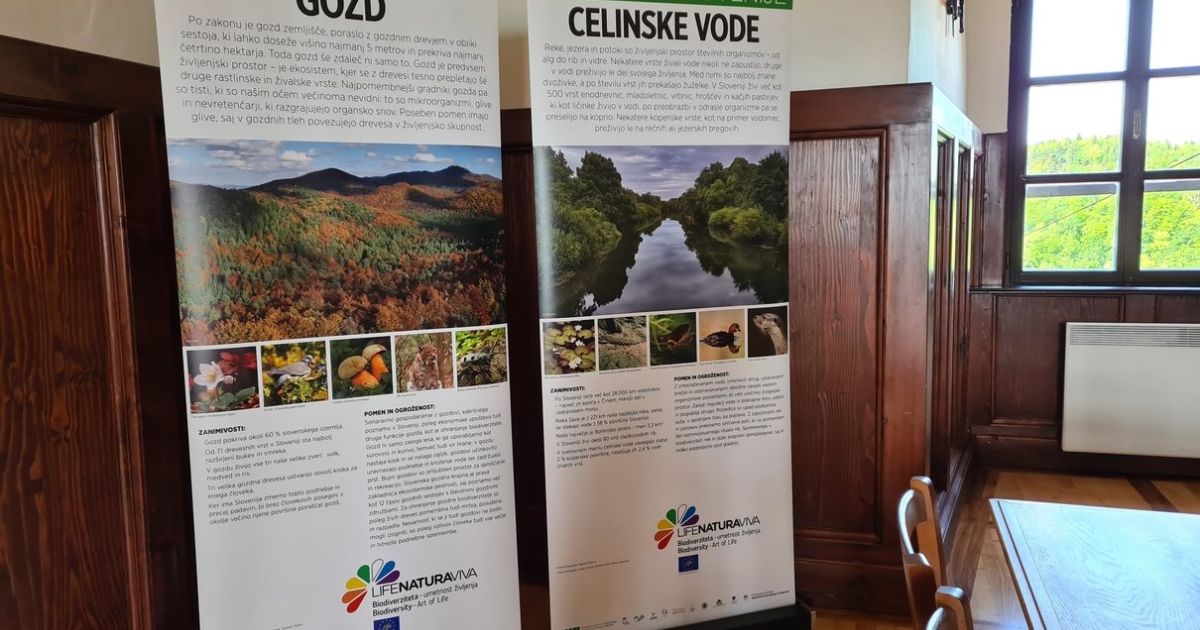 Razstava Ekosistemi Slovenije in biodiverziteta - Svet24.si