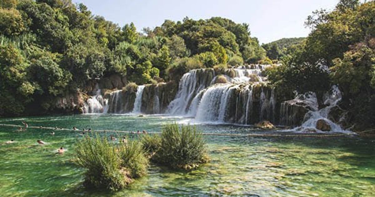 Vaš komentar: Raznolikost za boljšo prihodnost; kaj lahko naredimo mi? - Svet24.si