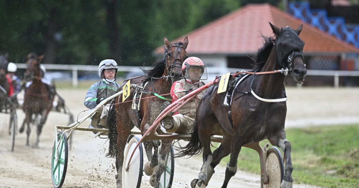 Jože Sagaj ml. trikratni zmagovalec - Svet24.si