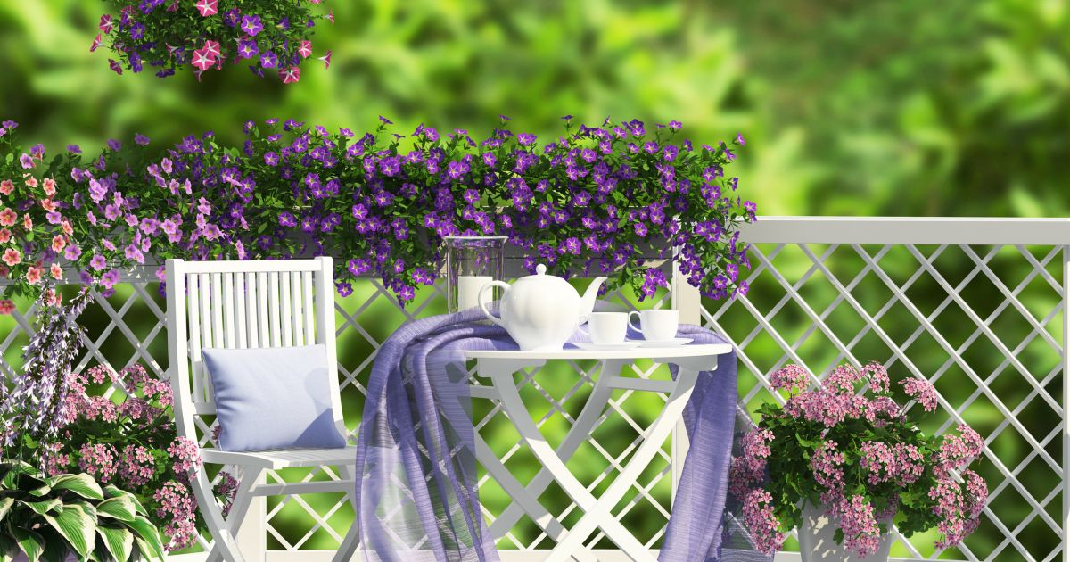 Balkonsko cvetje,ki ne potrebuje veliko nege - Svet24.si