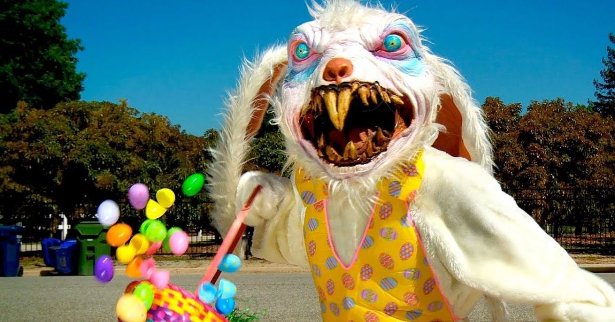 Bizarno! To se je dogajalo v Zrenjaninu! - Svet24.si