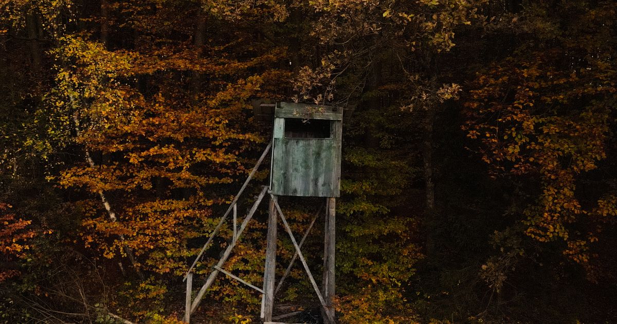 Policisti obravnavali nezakonit lov in ugriz psa - Vestnik.si