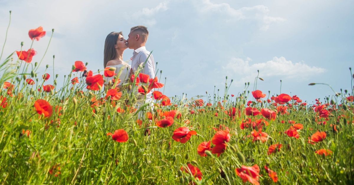 Daj mi tabletko, da te vzljubim - Svet24.si